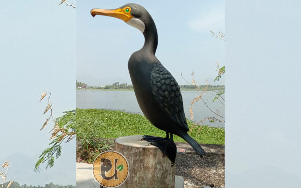 Cormorant,Hand Carved Wooden Bird -Real-High Look - Udhaya Toys