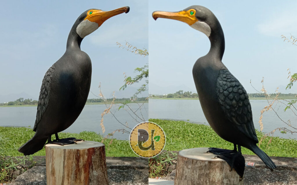 Cormorant,Hand Carved Wooden Bird -Real-High Look - Udhaya Toys